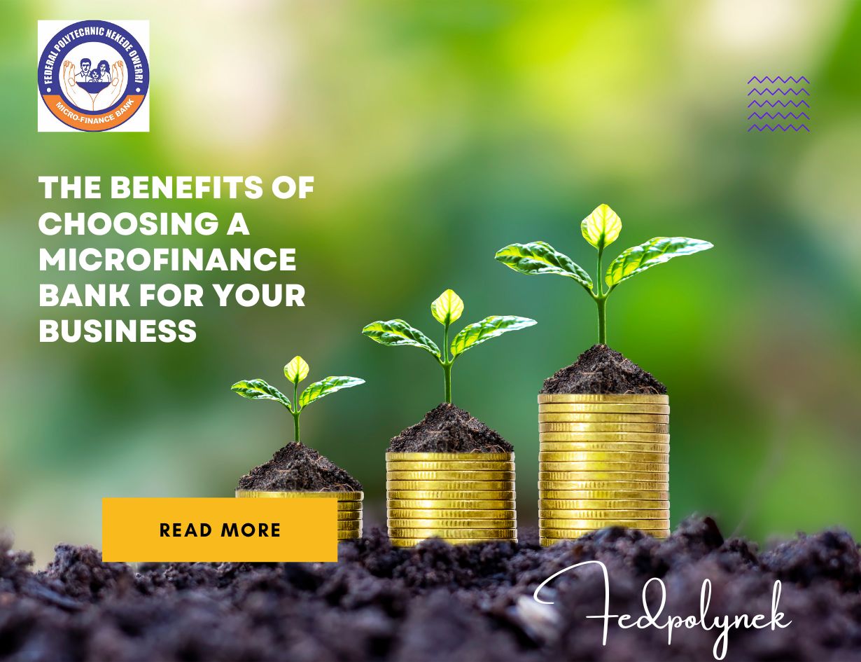 The Benefits of Choosing a Microfinance Bank for Your Business ...